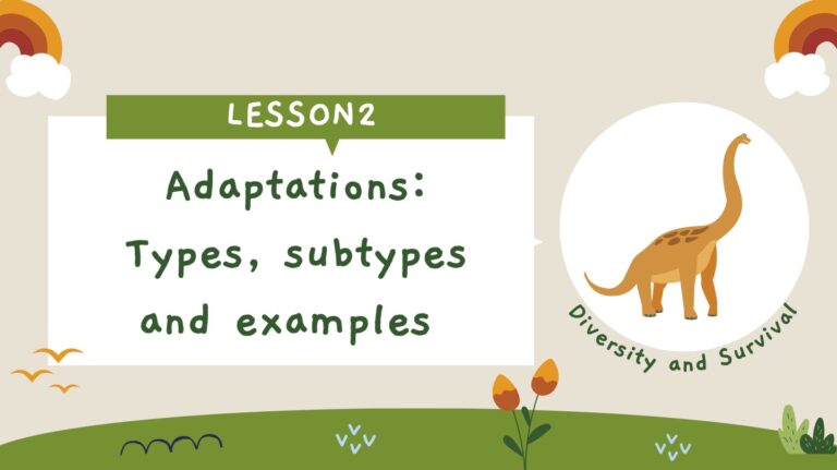 Adaptations: Types, Sub-types & Examples – Science BC