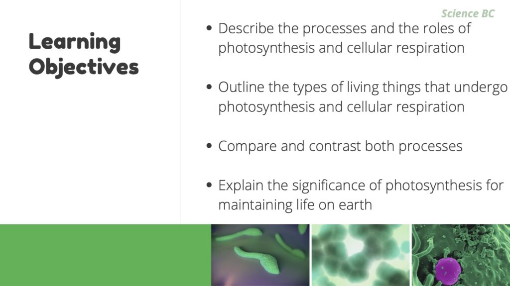 Photosynthesis and Cellular Respiration – Science BC