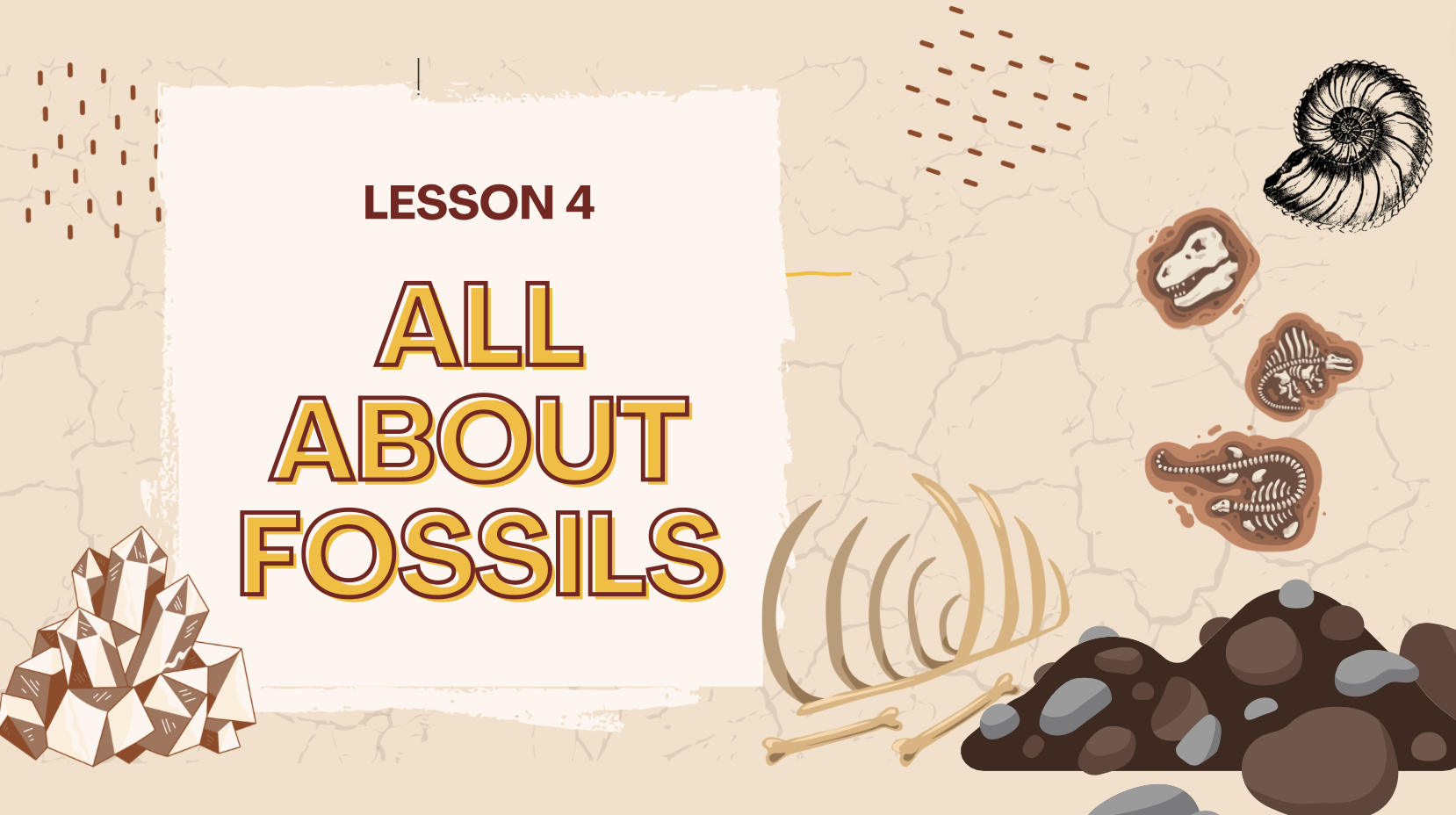 All About Fossils – Science BC