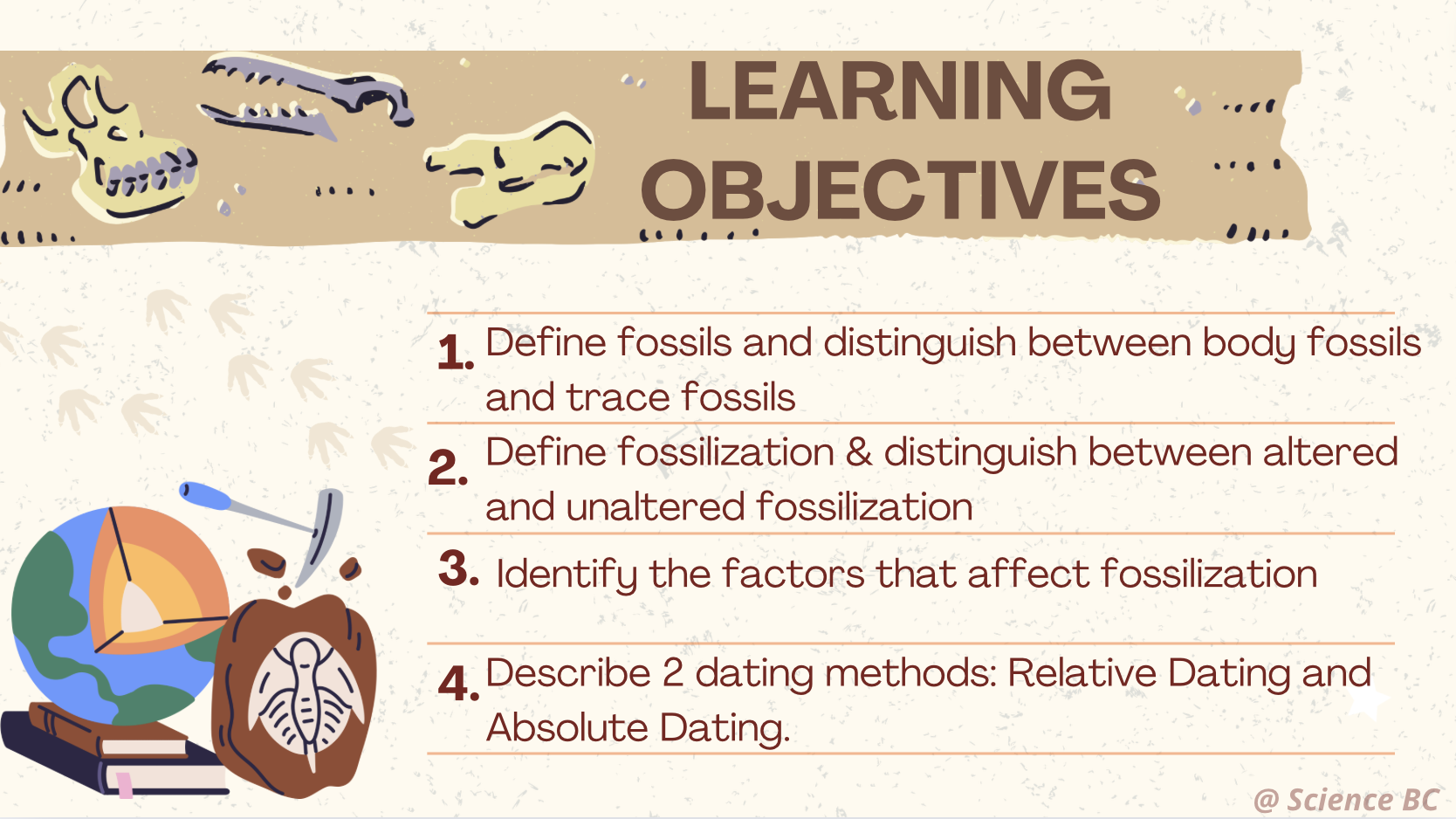 All About Fossils – Science BC