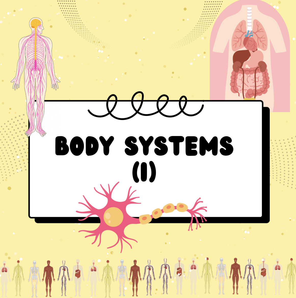 Body Systems (II) Unit – Science BC