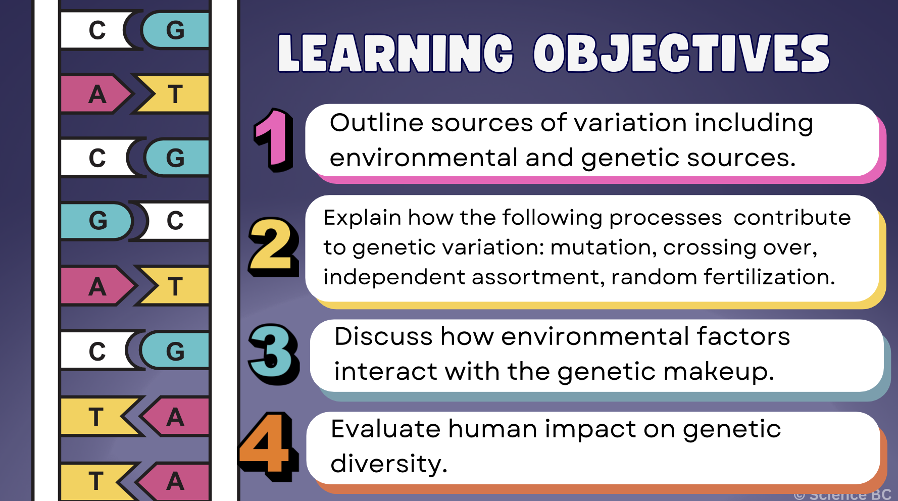 Genetic Variation – Science BC