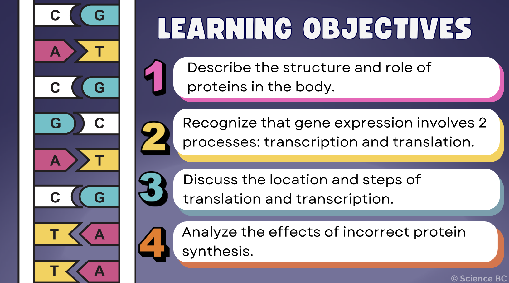 Gene Expression/Protein Synthesis – Science BC