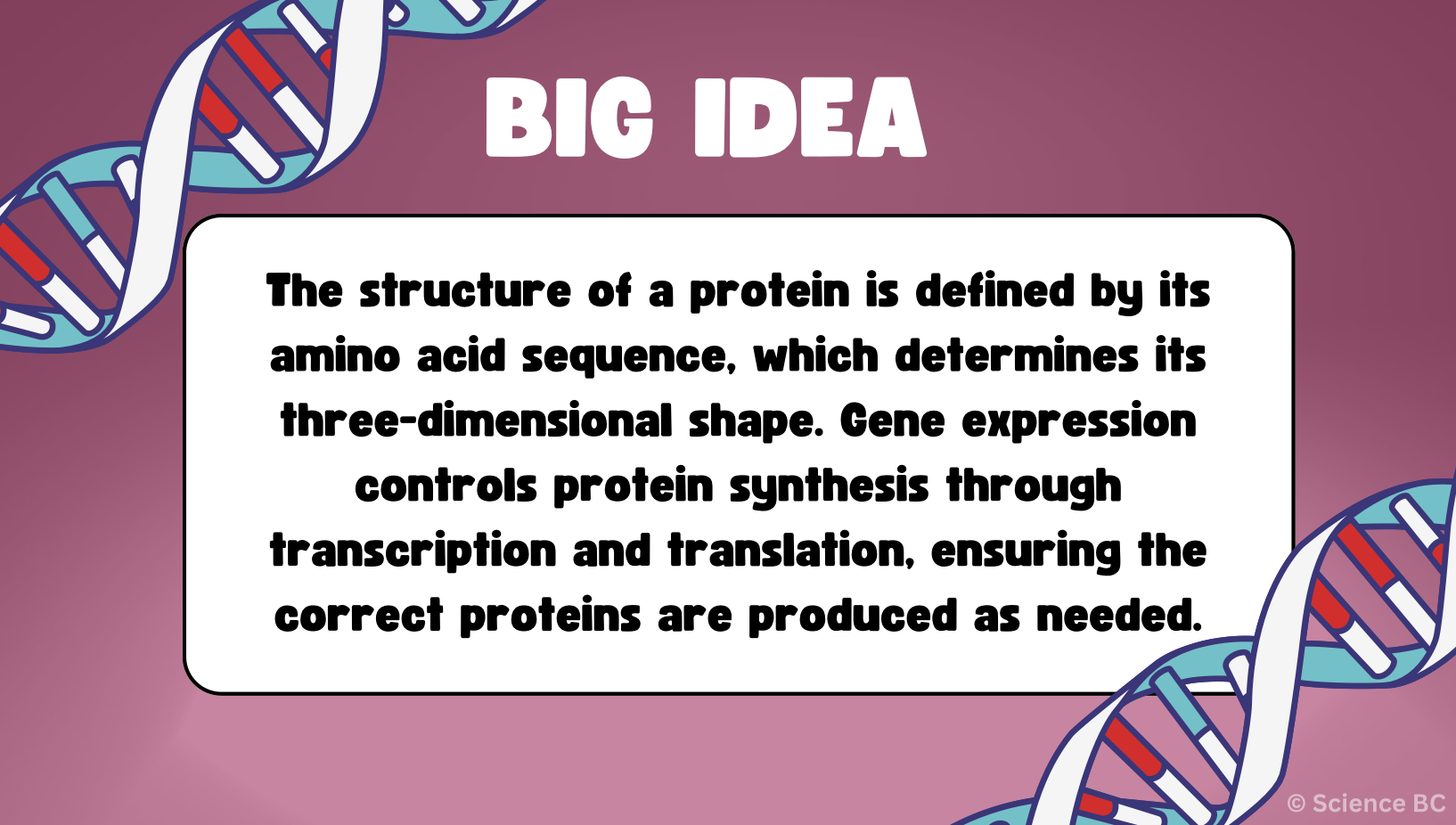 Gene Expression/Protein Synthesis – Science BC