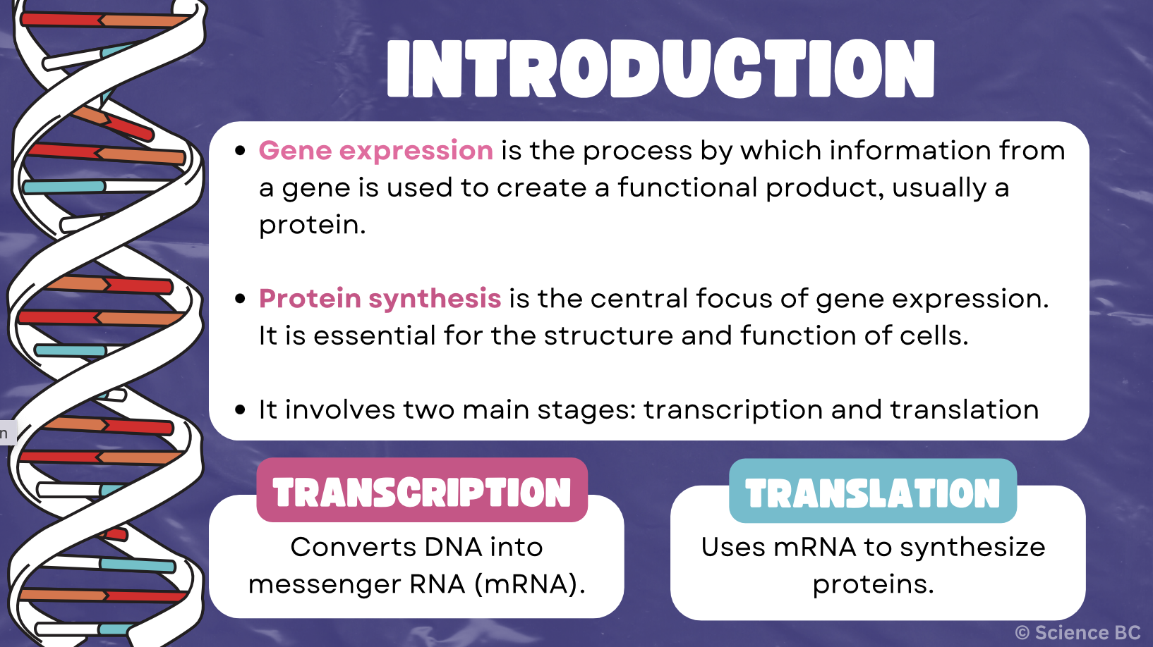 Gene Expression/Protein Synthesis – Science BC