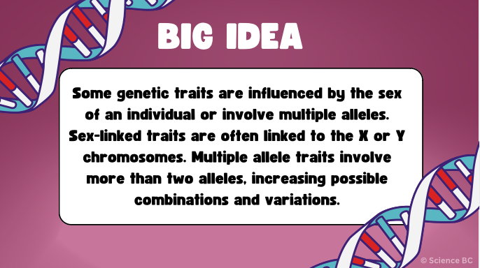 Sex-linked Traits and Multiple Allele Traits – Science BC