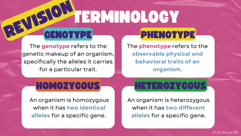 Monohybrid and Dihybrid Cross – Science BC