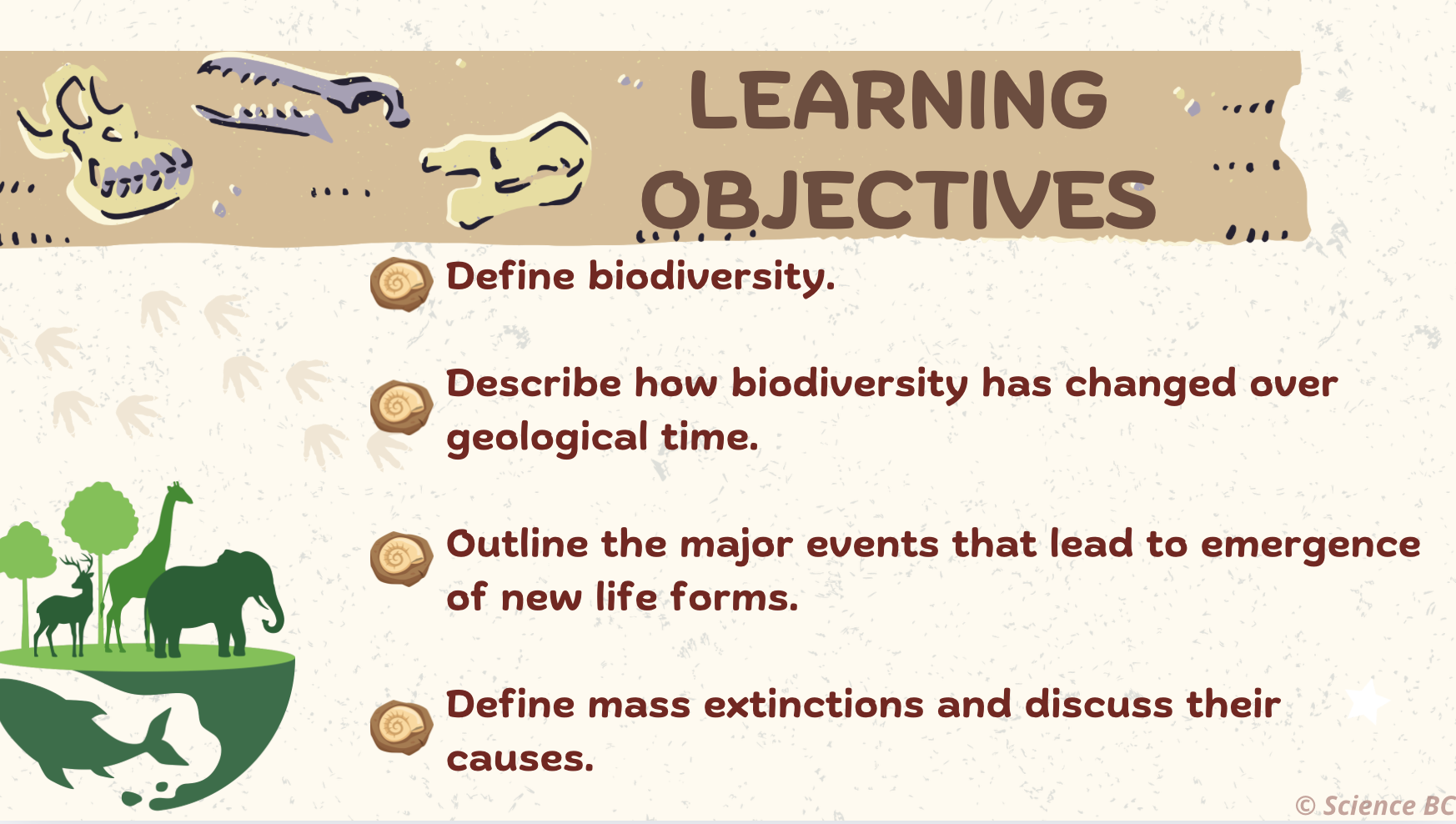 Biodiversity Change Over Geologic Time – Science BC