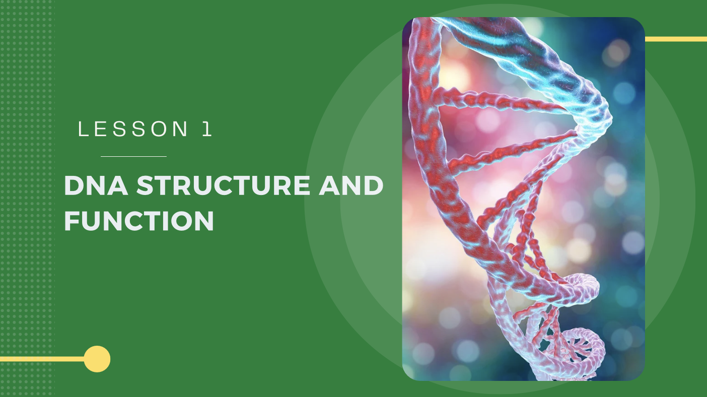 DNA Structure and Function – Science BC