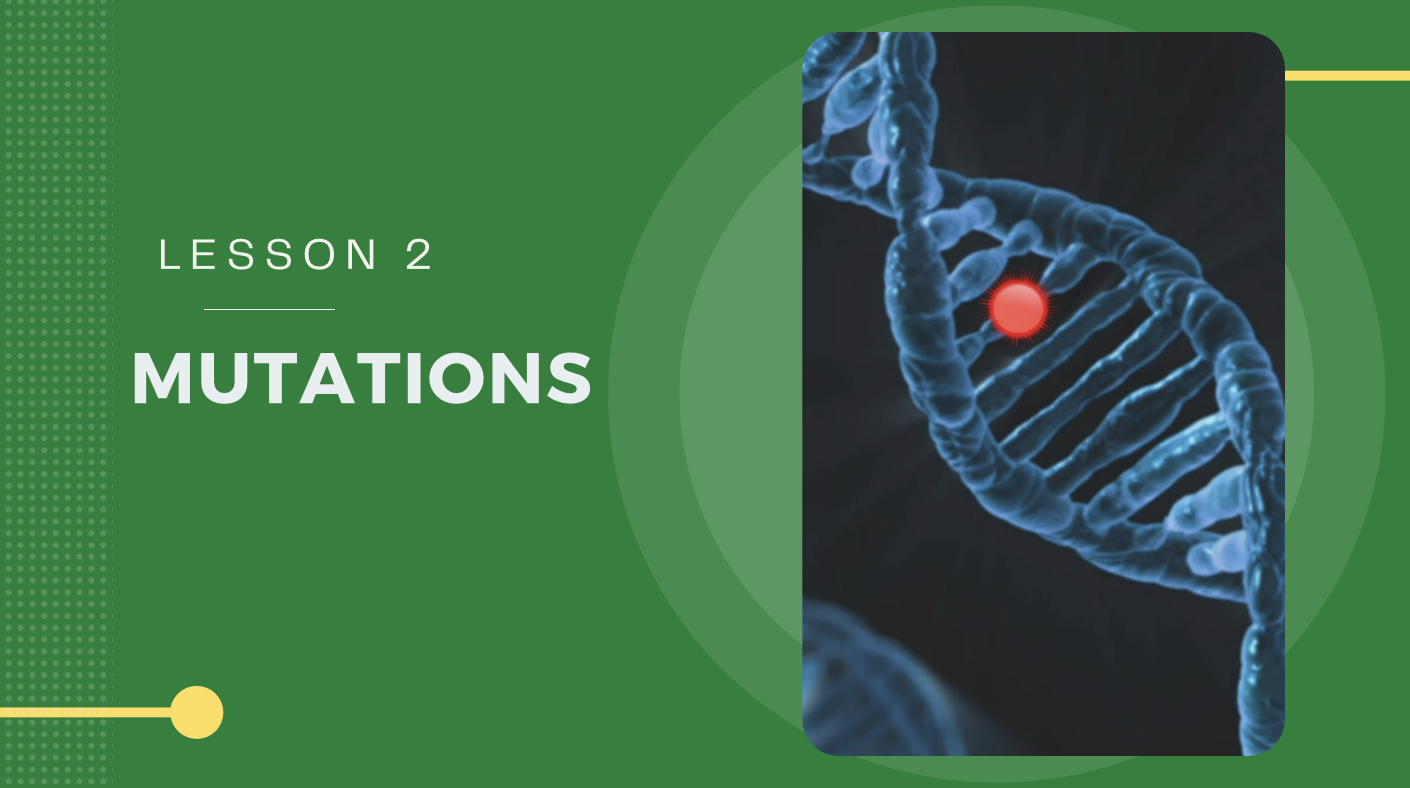 Mutations – Science BC