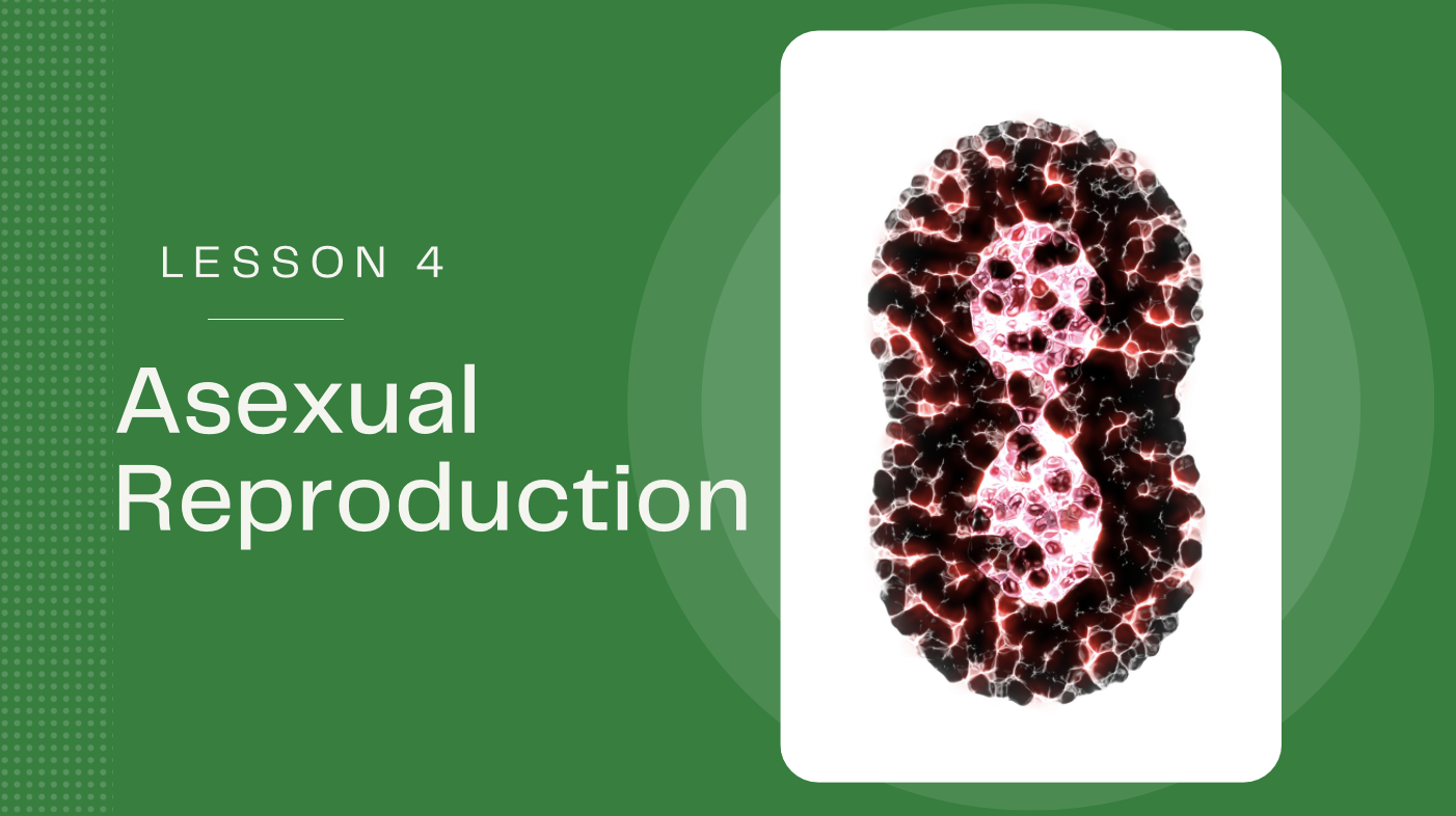 Asexual Reproduction – Science BC
