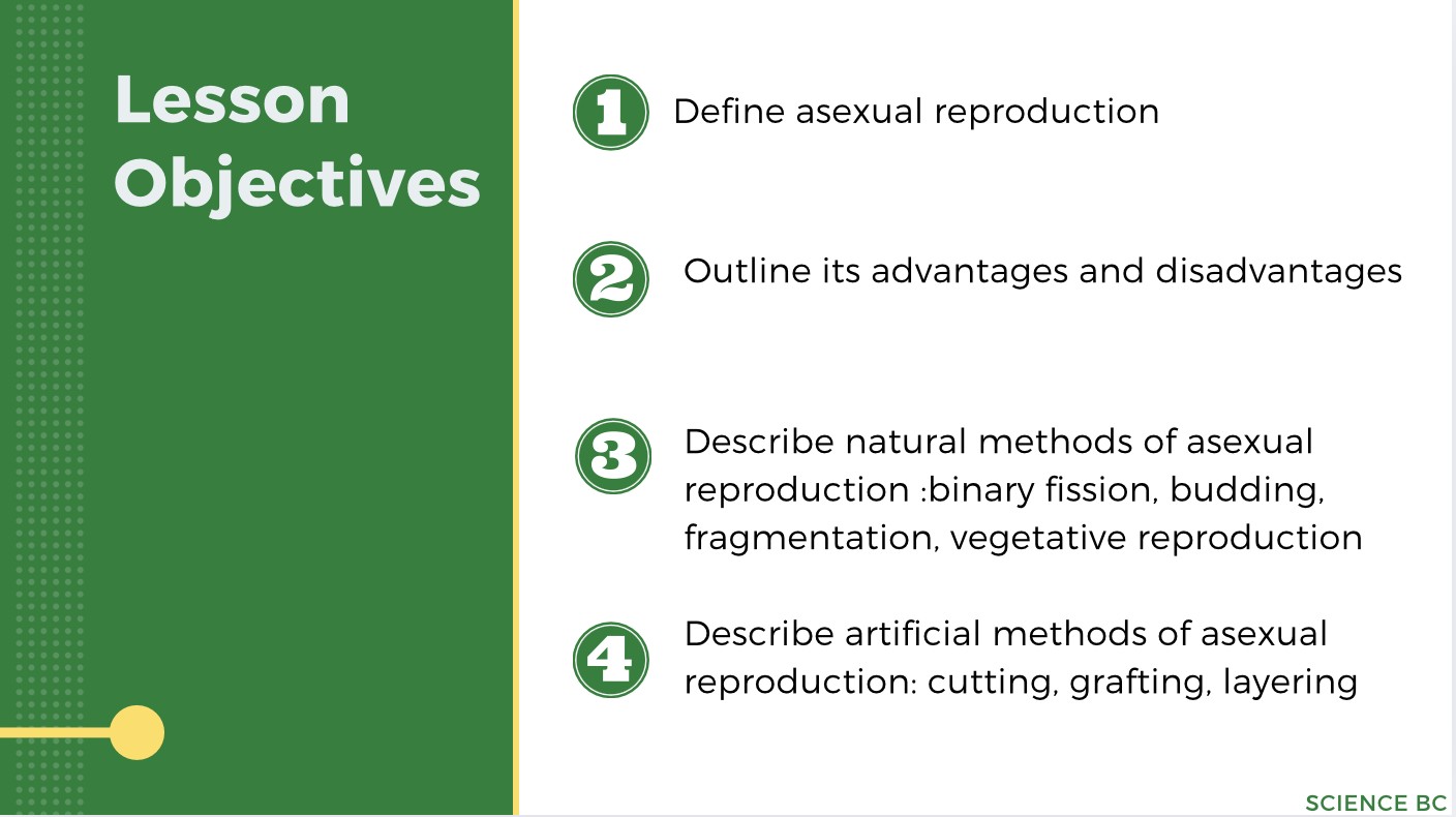 Asexual Reproduction – Science BC