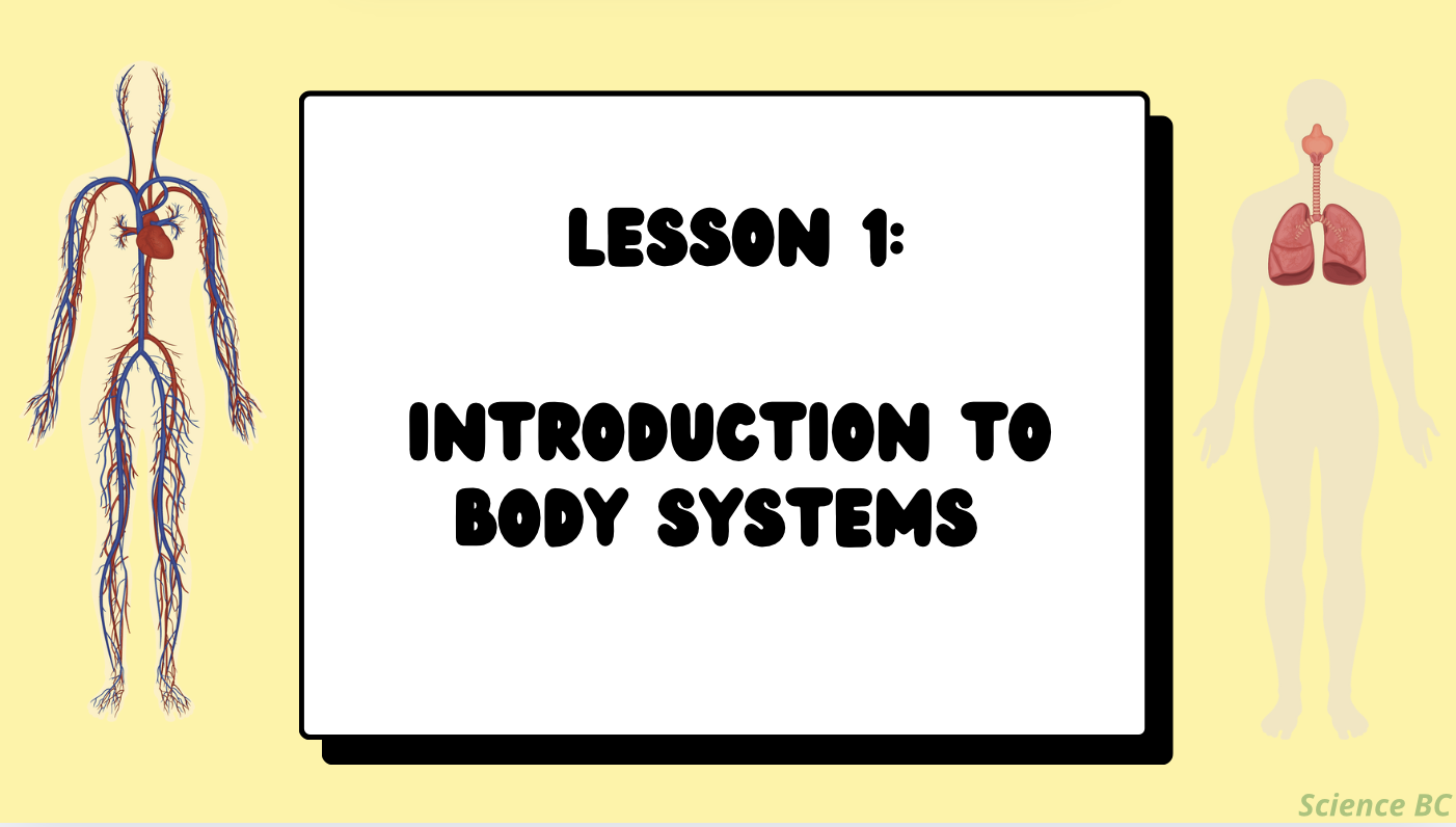 Intro to Body Systems – Science BC
